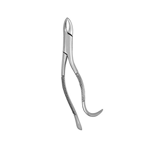 Amazon.com: Extracting Forcep American Pattern Lower Anterior ...
