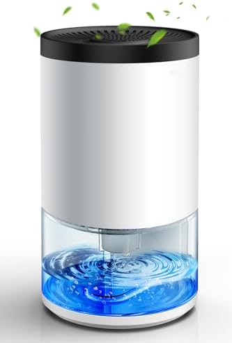 Dehumidifiers for Home, Portable Mini Dehumidifiers for Bedroom, 1000ml ...