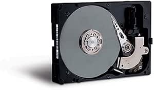 Amazon.com: TrekStor 320 GB Internal IDE 3.5" Hard Drive : Electronics