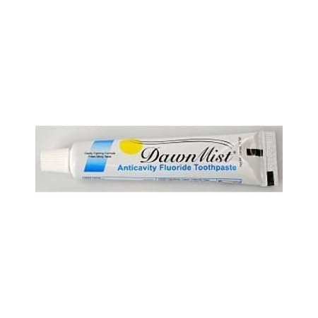 Amazon.com : Dawnmist® Gel Flouride Toothpaste .6 Oz (Case of 144 ...