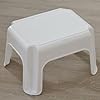 Rubbermaid Roughneck Step Stool, White : Amazon.ca: Home
