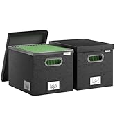 Amazon.com: GRSQYS File Organizer Box File Boxes for Hanging Files with ...
