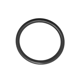 Amazon.com: 1/Pack U9-229 Pool Pump Lid Compatible with PTK-218 O-Ring ...