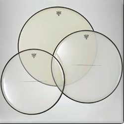 REMO Timpani, Clear, 16" Diameter, For ROTOTOM : Amazon.in: Musical ...