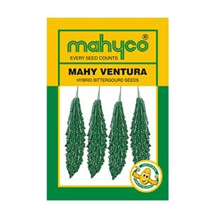MAHYCO - MAHY VENTURA BITTER GOURD SEEDS, Karele Ke Beej, Dark Green ...