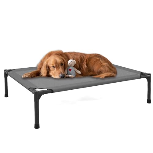 Dog Cots – The 15 best products compared - Wild Explained