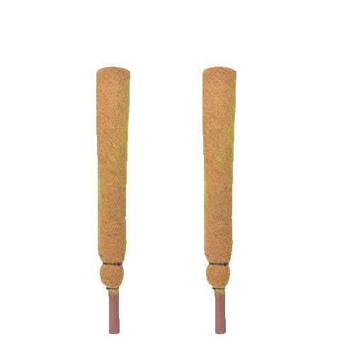 Grow Rich Coir Pole Set (Pack of 2) - 1-Foot Coir Plant Support Sticks ...