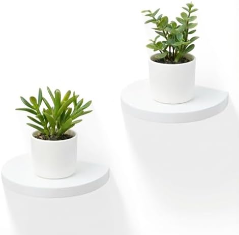 Amazon.com: MITREL Small Wood Floating Shelves (2-Pack, 6-inch Diameter ...