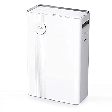 The 30 Best Activated Carbon Air Purifiers of 2025 [Verified] - Cherry ...