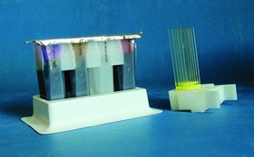 Neat Stain® GRAM Stain Kit : Amazon.ca: Health & Personal Care