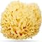 Amazon.com: HartFelt Delicate Skin Wool Sea Sponge 4 in | Real Natural ...