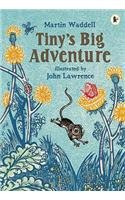 Amazon.com: Tiny's Big Adventure: 9781844285389: John Lawrence,Martin ...