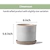 Amazon.com : Chubacoo 6 Inch Plant Pot: Ceramic Planter with Drainage ...