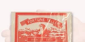 Amazon.com: Fortune Telling Fish : Toys & Games