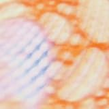【発売日：2026年05月29日】・製造元:Saint Vaast Recordings