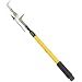 Telescopic Extendable Patio Paving Garden Slab Weeder Weeding Tool 27 ...