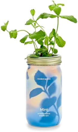 Amazon.com : Environet Hydroponic Herb Growing Kit Set, Self-Watering ...