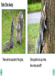 Math Around Us: Steffora, Tracey: 9781432949280: Amazon.com: Books