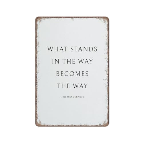 What Is Stoicism: Meaning & Summary Of Stoic Philosophy