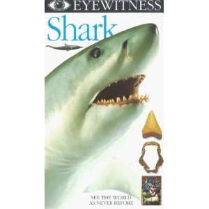 Eyewitness-Shark [VHS]: Amazon.es: Películas y TV