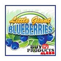 Amazon.com: Blueberry Giant Official As Seen on Tv Set of Two Little ...