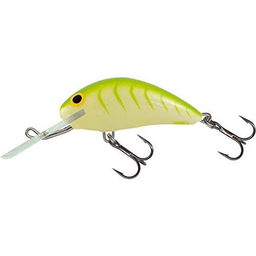 Best Crankbaits For Walleye - Catch The Big Ones!