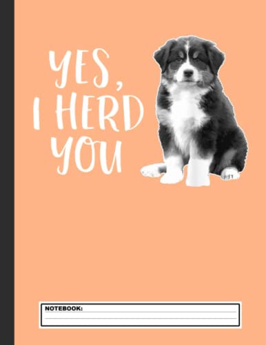 Round Up the Best Herding Tools for Your Australian Shepherd: A Top 10 ...