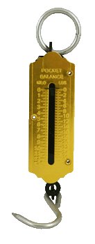 SPRING BALANCE 10KG/100N (METAL) : Amazon.in: Industrial & Scientific