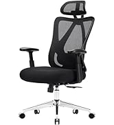 Amazon.com: Sweetcrispy Ergonomic Office Desk Chair High Back Comfy ...