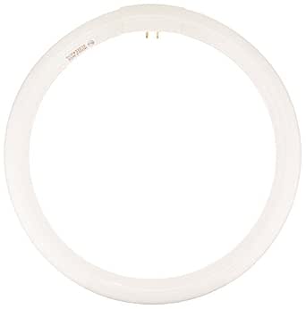 Buy TCP CFL Circle Lamp, 130W Equivalent, Soft White (2700K) T6 ...