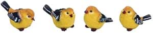Amazon.com: Transpac Mini Resin Goldfinch Bird Figurines Set of 4 ...