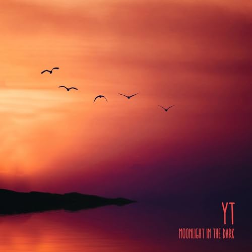 Play Moonlight in the Dark by YT on Amazon Music
