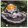 Amazon.com: coleman cable inc 91516di Solar Turtle In A Bird Bath, 1 ...