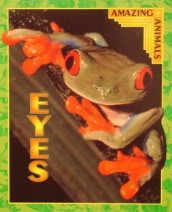 Amazing Animals Eyes: Rebecca L. Grambo: 9781561565894: Amazon.com: Books