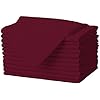 Amazon.com: Gee Di Moda Cloth Napkins - 17 x 17 Inch Burgundy Dinner ...