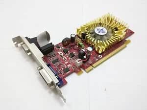 MSI V116 GeForce 8400 GS 256 MB PCI-E Graphics CARD- N1996 : Amazon.com ...