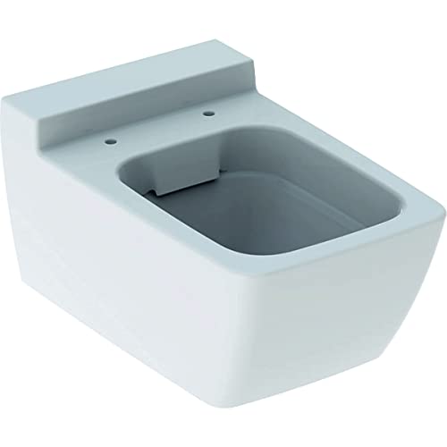 Keramag WC Spülrandlos – Die 15 besten Produkte im Vergleich ...