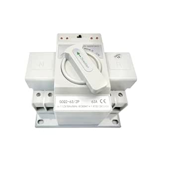 Amazon.com: Dual Power Automatic Transfer Switch 63A 2P 110V - Dual ...