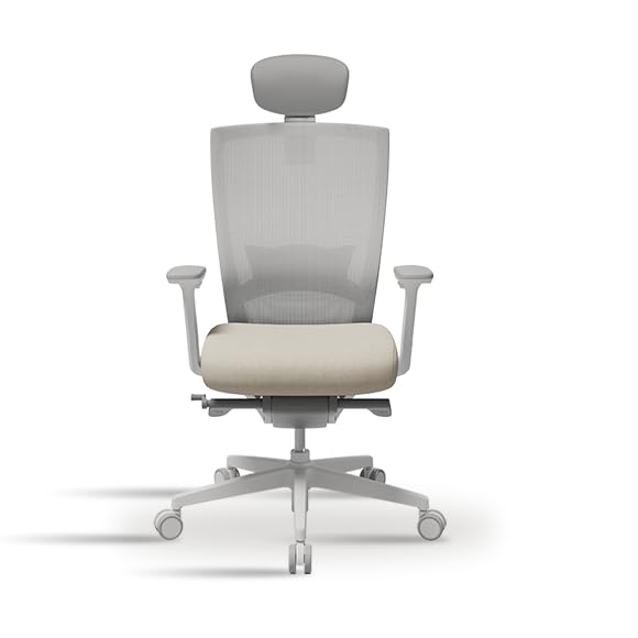 SIDIZ T50 Ergonomic Office Chair : High Performance Home Office Chair ...