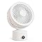 Amazon.com: CARONSORT Desk Fan, Small Oscillating Fan for Bedroom, 9 ...