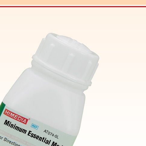 HiMedia AT074-5L Eagle Minimum Essential Medium (MEM) with Earle’s ...