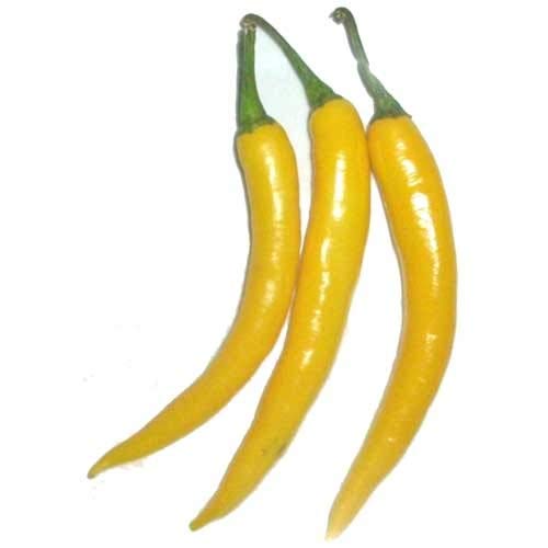 Creative Farmer Vegetable Seeds Yellow Chilli Seeds - Chillies Yellow ...