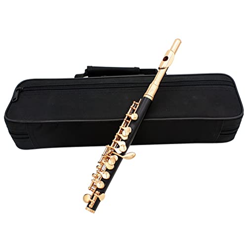 ¿Cómo Elegir El Mejor Flautín? - Guía de Compra