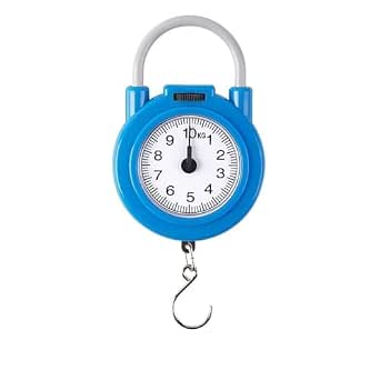 Amazon.com: Portable Spring Scale,Iron Hook Scale,Hanging Mechanical ...