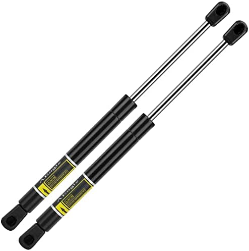 Amazon.com: Rear Trunk Lift Support Shocks for Dodge Challenger 2008 ...