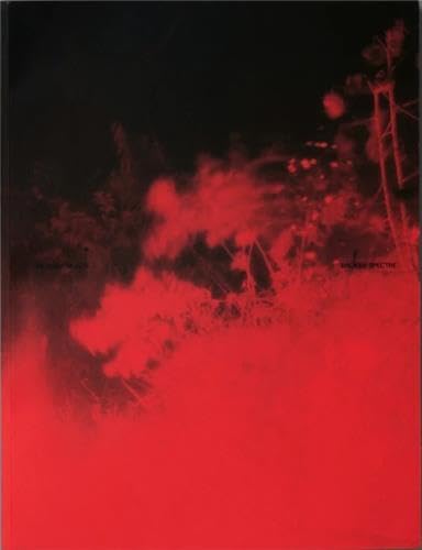 Richard Mosse Broken Spectre /anglais: MOSSE RICHARD: 9781912719433 ...