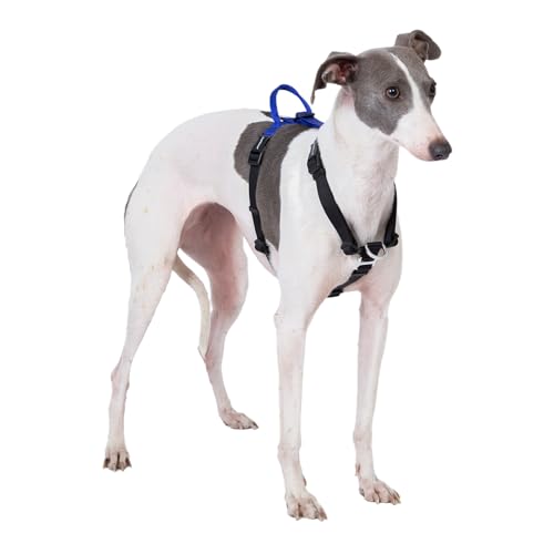 Balance Harness – The 15 best products compared - Wild Explained