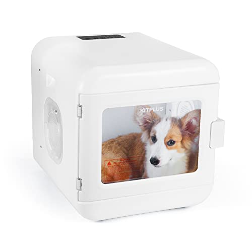 10 Cat Dry Boxes to Keep Your Feline Friend Happy and Healthy - A ...