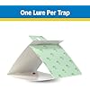 Amazon.com : Raid CMOTH Clothing Moth Trap, 2Count, 2 Count (Pack of 1 ...