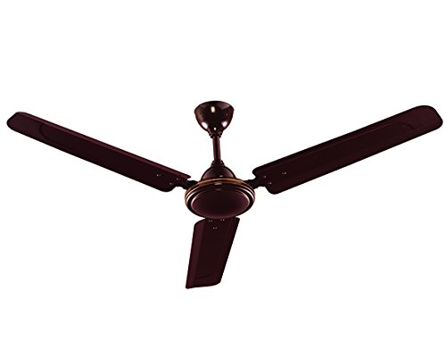 Buy SILKAIR Duster 1200mm 3 Blades Ceiling Fan (RoyalBrown) Online at ...